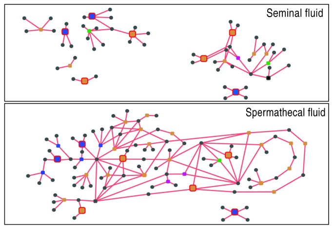 Insights into female sperm storage from the spermathecal fluid proteome ...