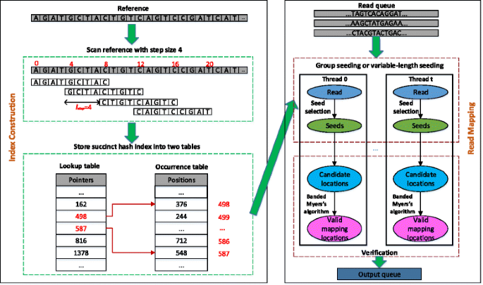 Fast and efficient short read mapping based on a succinct hash index | BMC Bioinformatics | Full ...