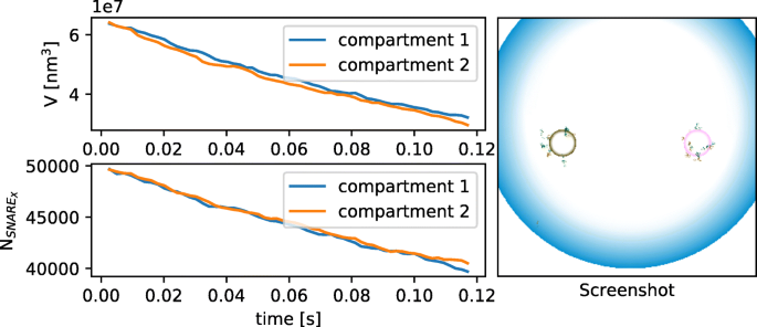 Potential based, spatial simulation of dynamically nested particles | BMC Bioinformatics | Full Text