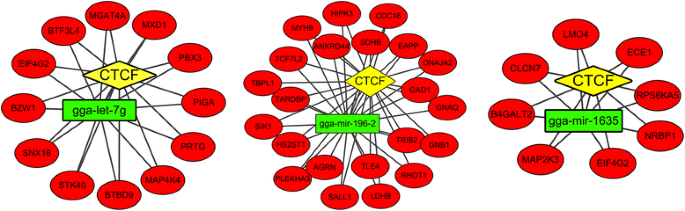 Genome-wide profiling of chicken dendritic cell response to infectious ...