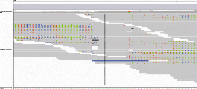 STR-realigner: a realignment method for short tandem repeat regions ...