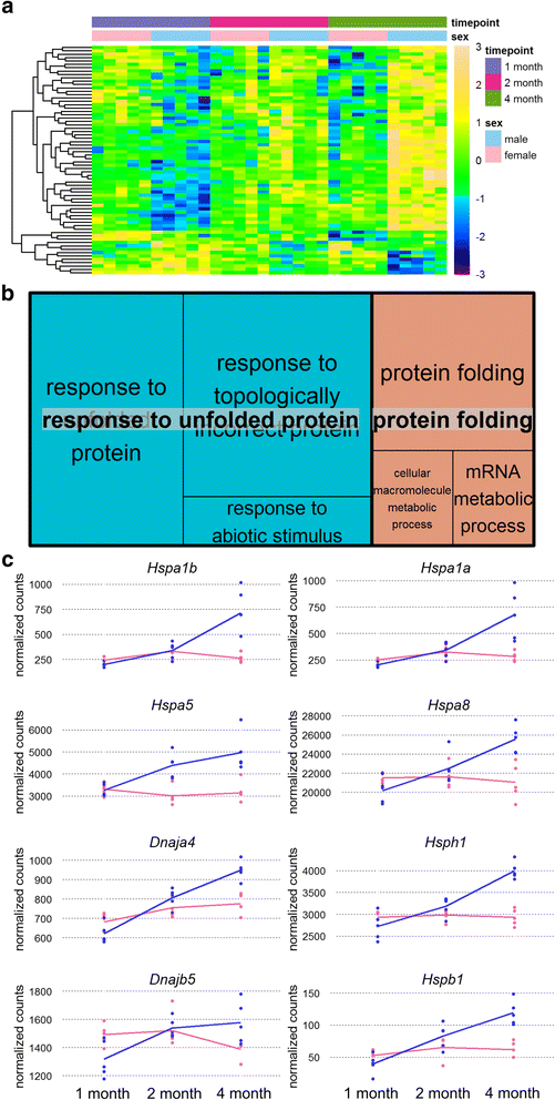 Sex Differences In The Molecular Signature Of The Developing Mouse