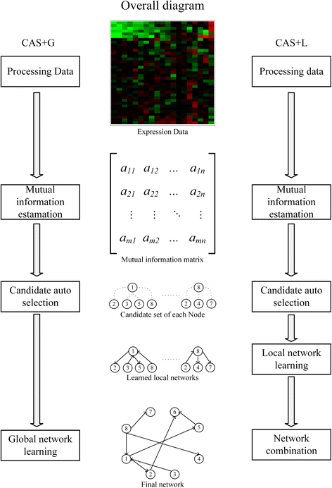 An improved Bayesian network method for reconstructing gene regulatory network based on ...