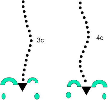 Brace technology thematic series: the 3D Rigo Chêneau-type brace ...