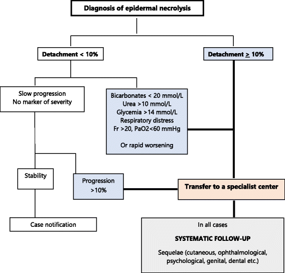 Epidermal necrolysis French national diagnosis and care protocol (PNDS ...