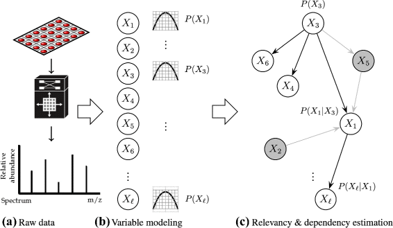 Discovering feature relevancy and dependency by kernel-guided probabilistic model-building ...