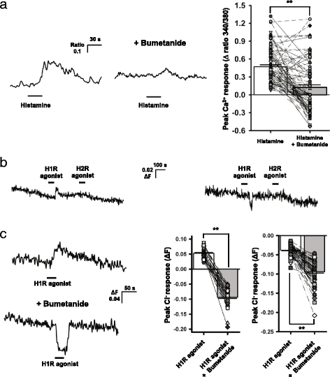 Histamine 1 receptor-G βγ -cAMP/PKA-CFTR pathway mediates the histamine ...