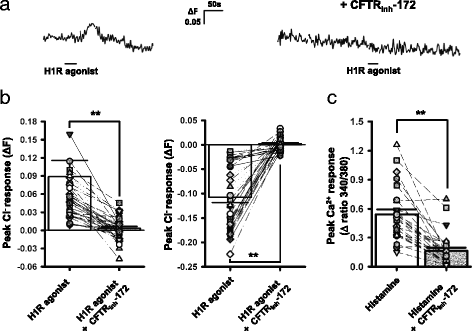 Histamine 1 receptor-G βγ -cAMP/PKA-CFTR pathway mediates the histamine ...