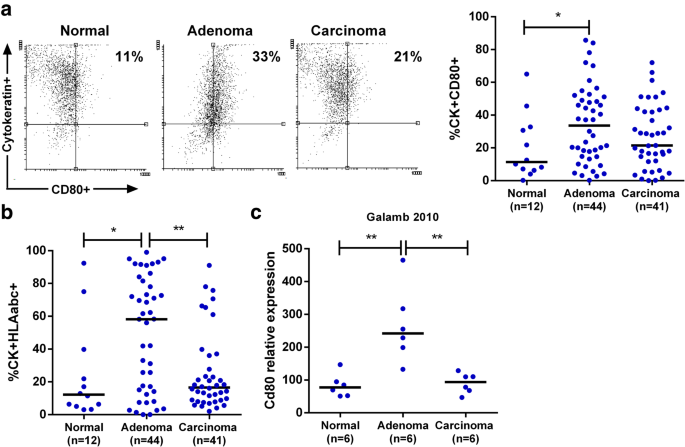 Epithelial CD80 promotes immune surveillance of colonic preneoplastic ...