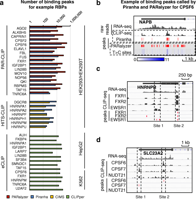 Identification of high-confidence RNA regulatory elements by combinatorial classification of RNA ...
