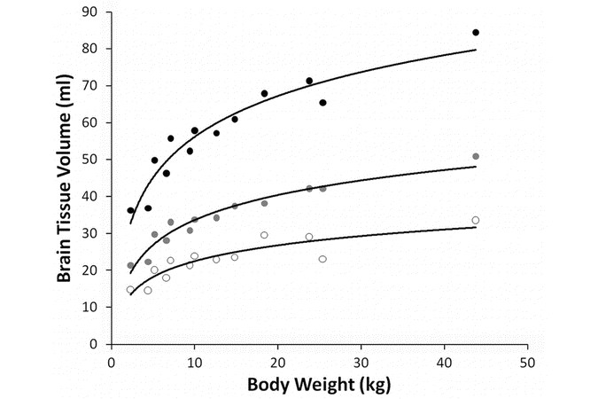 Noninvasive MRI Measures of Microstructural and Cerebrovascular Changes ...