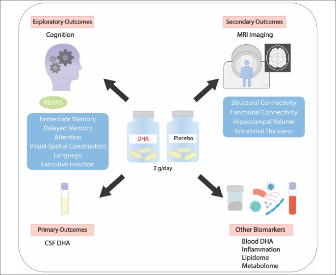 Baseline Findings of PreventE4: A Double-Blind Placebo Controlled ...