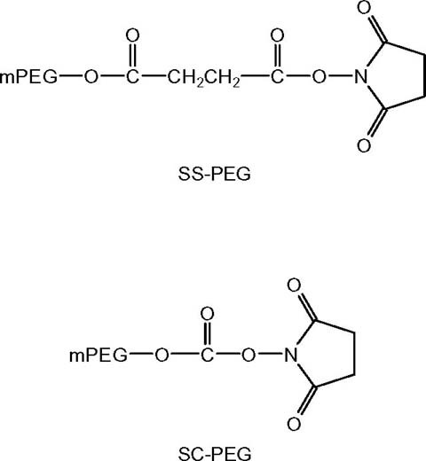 Development of Pegylated Interferons for the Treatment of Chronic ...