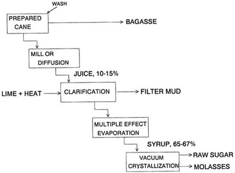 Sugar Processing Steps