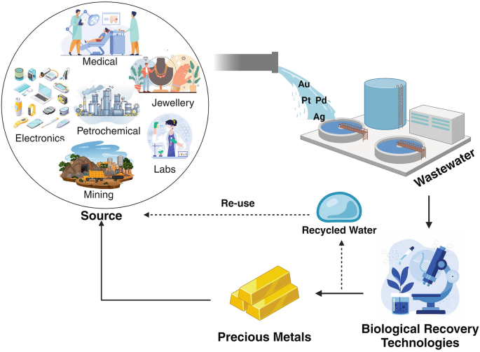 Precious Metal Recovery from Wastewater Using Bio-Based Techniques | SpringerLink