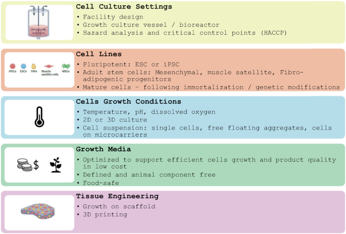 Fundamentals of Cultivated Meat Technology: Cell Culture and Tissue ...