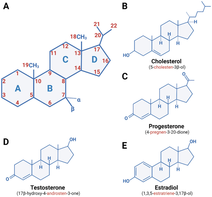 Steroids in Cancer: Mechanisms, Therapies, and Challenges in Hormone ...