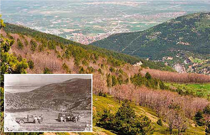 Desertification in Algeria and Turkey: Climate Change Leading to ...