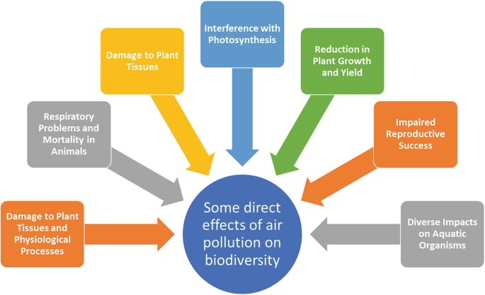 Effects of Air Pollutants on Biodiversity | SpringerLink