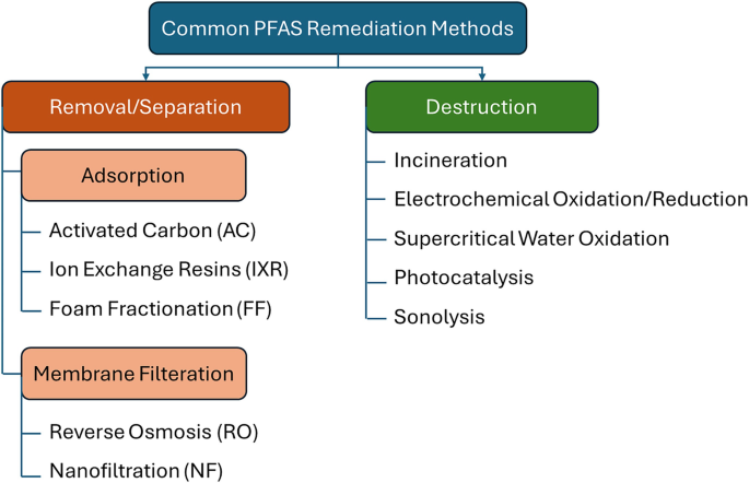Per- and Polyfluoroalkyl Substances (PFASs): Global Contamination ...