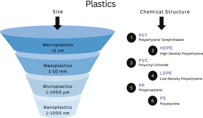 Microplastic Pollution: Human Exposure, Uptake, Accumulation Pathways ...
