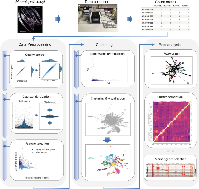 Analysis and Visualization of Single-Cell Sequencing Data with Scanpy and MetaCell: A Tutorial ...