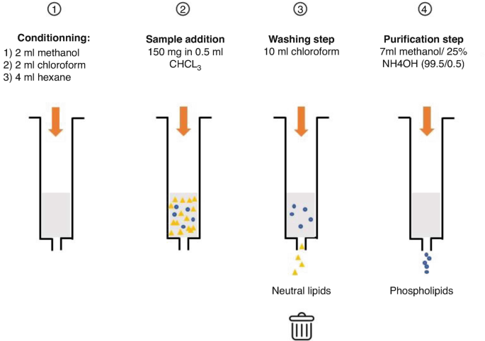 Separation of Lipid Classes by Solid Phase Extraction for Subsequent ...