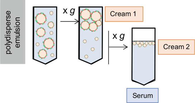 Surface Load and Interfacial Composition of Protein-Stabilized O/W ...