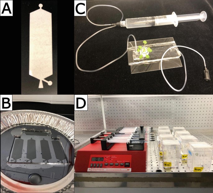Arabidopsis Root Microbiome Microfluidic (ARMM) Device for Imaging ...