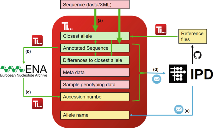 Submitting Novel Full-Length HLA, MIC, and KIR Alleles with TypeLoader2 ...