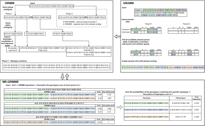 Graph-Based Imputation Methods and Their Applications to Single Donors ...