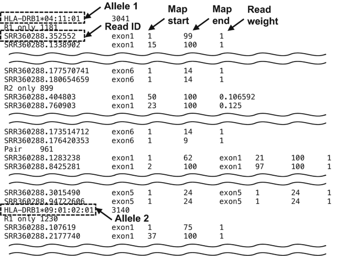 Comprehensive HLA Typing from a Current Allele Database Using Next-Generation Sequencing Data ...