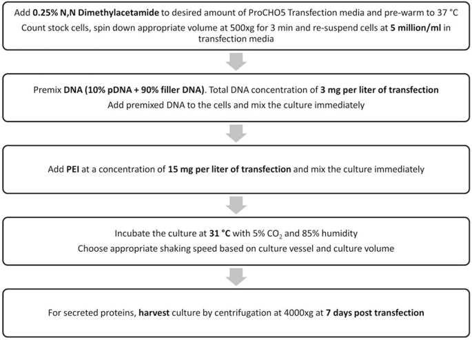 PEI-Mediated Transient Gene Expression in CHO Cells | SpringerLink