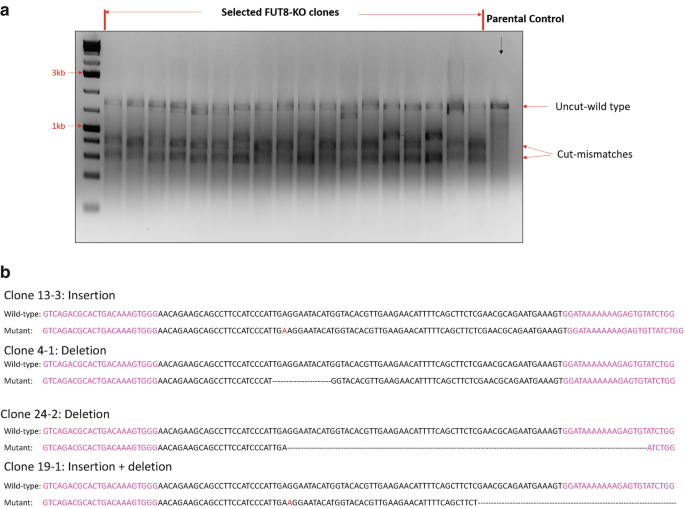 Application of the CRISPR/Cas9 Gene Editing Method for Modulating ...
