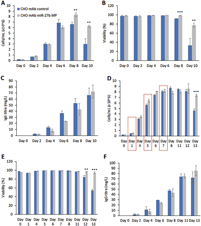CRISPR Deletion of miR-27 Impacts Recombinant Protein Production in CHO ...
