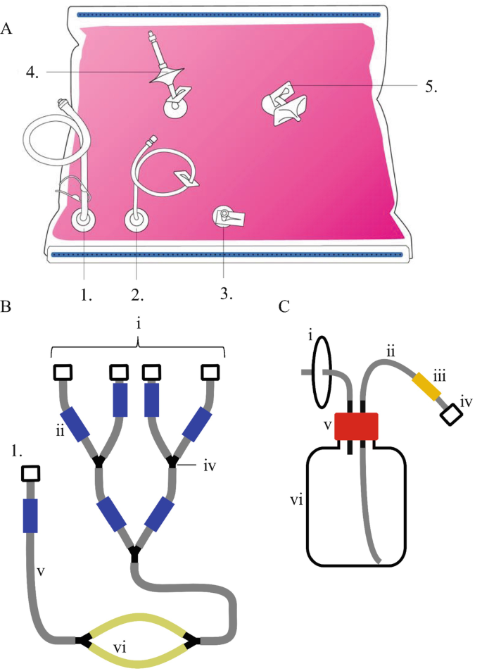 Protein Expression via Transient Transfection of Mammalian Cells in a ...