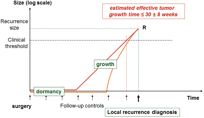 Clinical Tumor Dormancy | SpringerLink