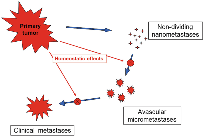 Clinical Tumor Dormancy | SpringerLink