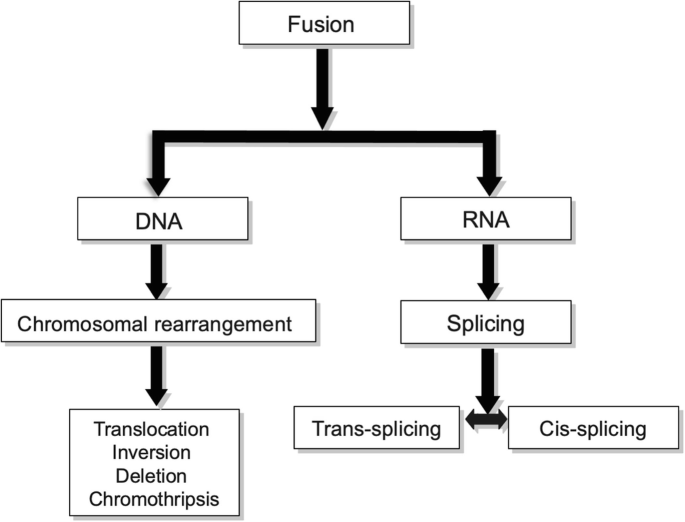 A Protocol for the Detection of Fusion Transcripts Using RNA-Sequencing Data | SpringerLink