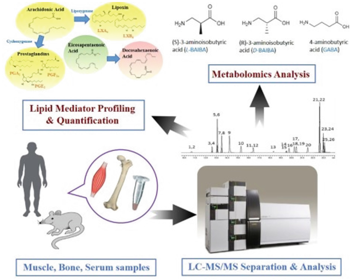 Market Needs and Methodologies Associated with Patient Lipidomic ...