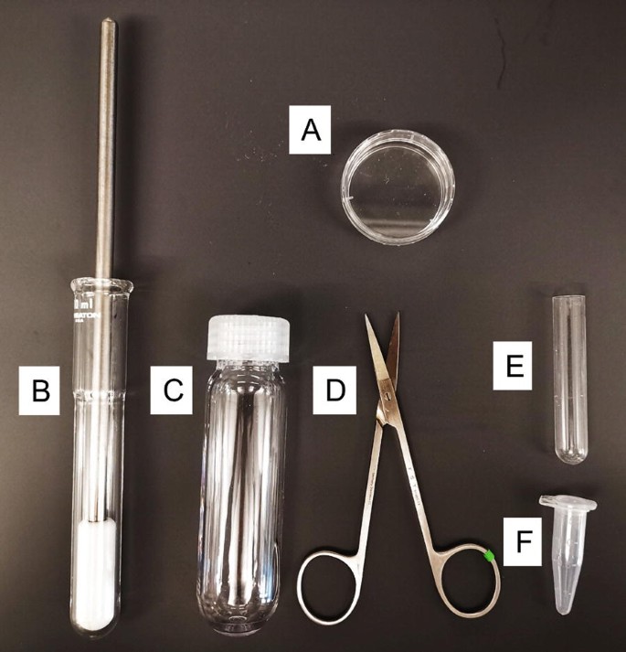 Isolation of Mitochondria from Murine Skeletal Muscle | Springer Nature ...