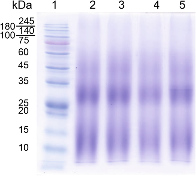 Extraction of Proteins from Soil | Springer Nature Link