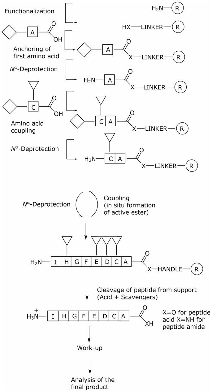 Fmoc Solid-Phase Peptide Synthesis | SpringerLink