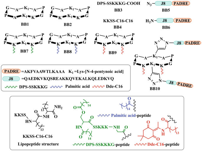Cyclic Peptide Conjugate Vaccines and Physically Mixed Cyclic Peptide ...