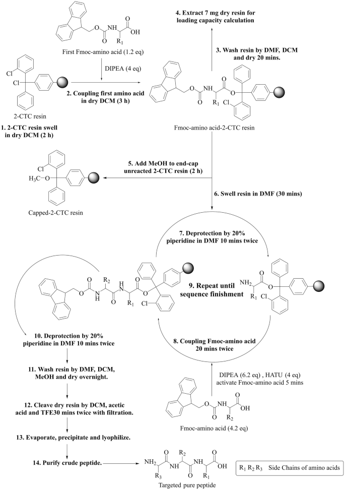 Cyclic Peptide Conjugate Vaccines and Physically Mixed Cyclic Peptide ...