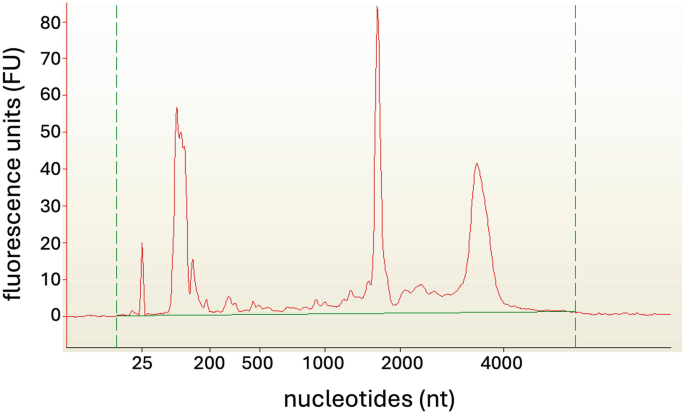 RNA Isolation from Human Stem Cell–Derived Retinal Organoids | SpringerLink