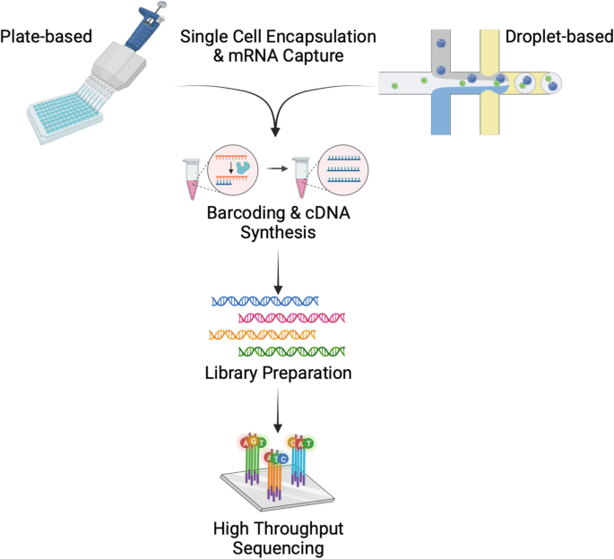 Single-Cell Sequencing of 3′ RNA Transcripts | SpringerLink