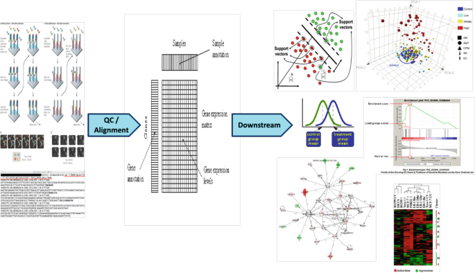 RNA-Seq Data Analysis | SpringerLink
