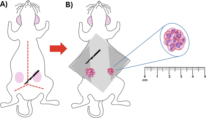 Plant Virus-Like Particles for RNA Delivery | SpringerLink