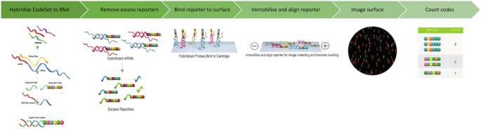 Assessing MicroRNA Profiles from Low Concentration Extracellular ...